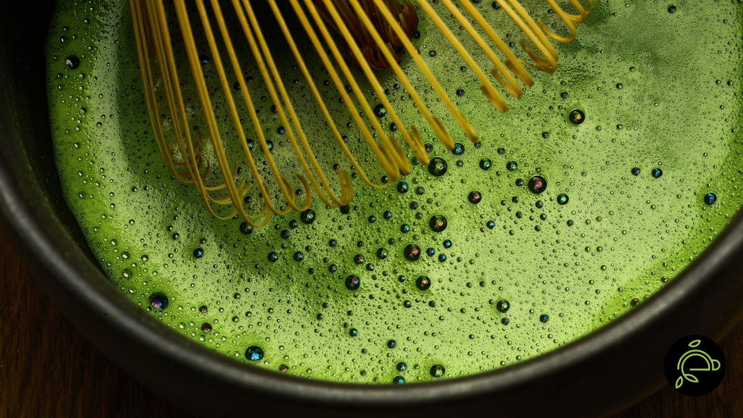 Thé Matcha : Guide Complet, Bienfaits et Rituel | Papothé – Papothé®